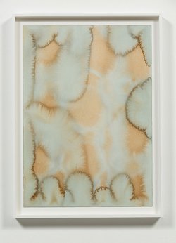 Rebecca Morris - Corbett vs. Dempsey