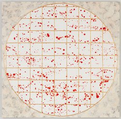 Rebecca Morris - Corbett vs. Dempsey